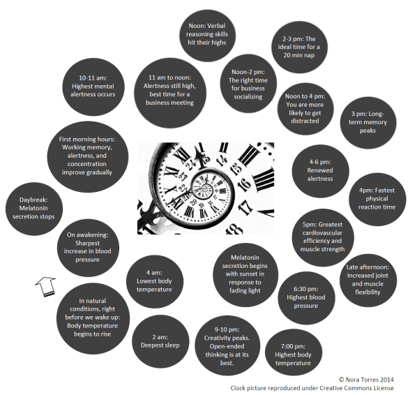 Guest post: How to understand your internal body clock | Carol's ...
